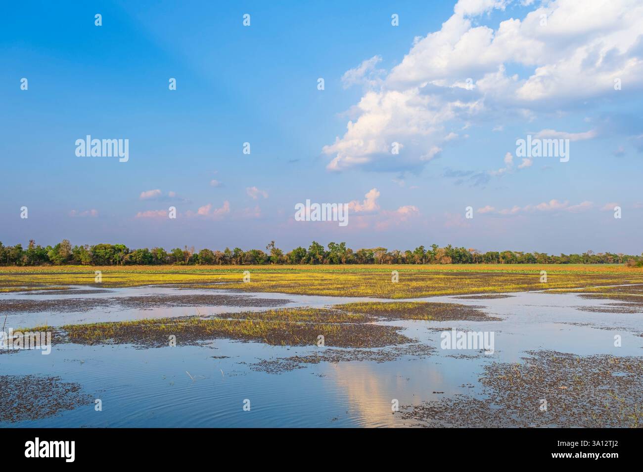 Cambodia, Banteay Meanchey province, archeological complex of Banteay ...