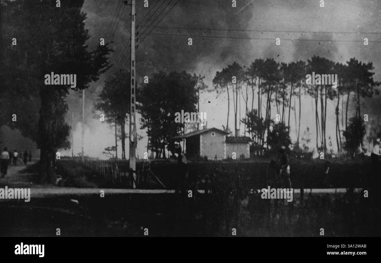 Forest Fires Sweeping France -- Flames sweeping the woods along the ...