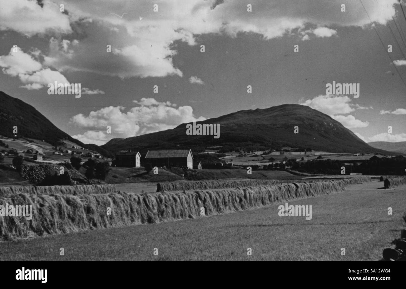 Typical rural district from Eastern Norway. February 10, 1943. (Photo ...