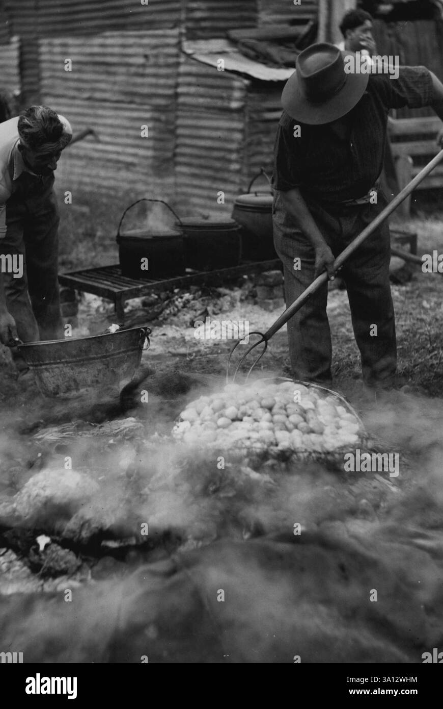 Food being removed from hot stores the old time maori believed that an ...