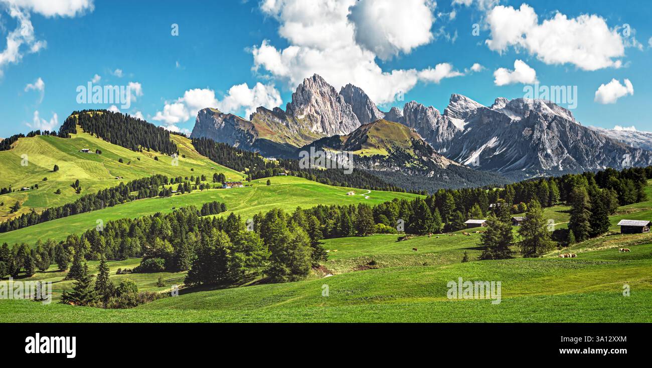 nature, created by nature, view, sky, purity, untouched, pure, sunny ...