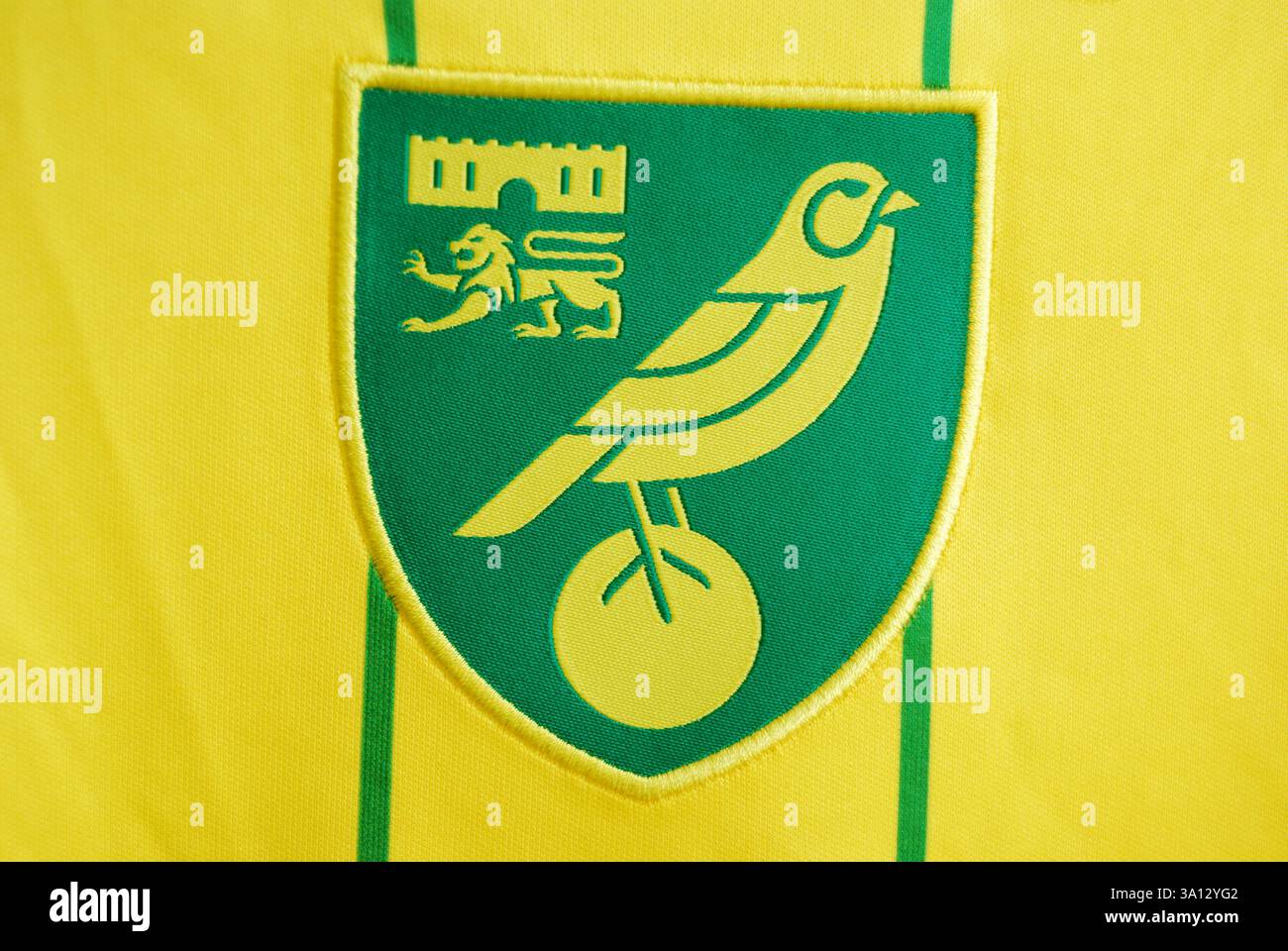 Close up photo of Norwich City FC club badge on the home shirt Stock ...