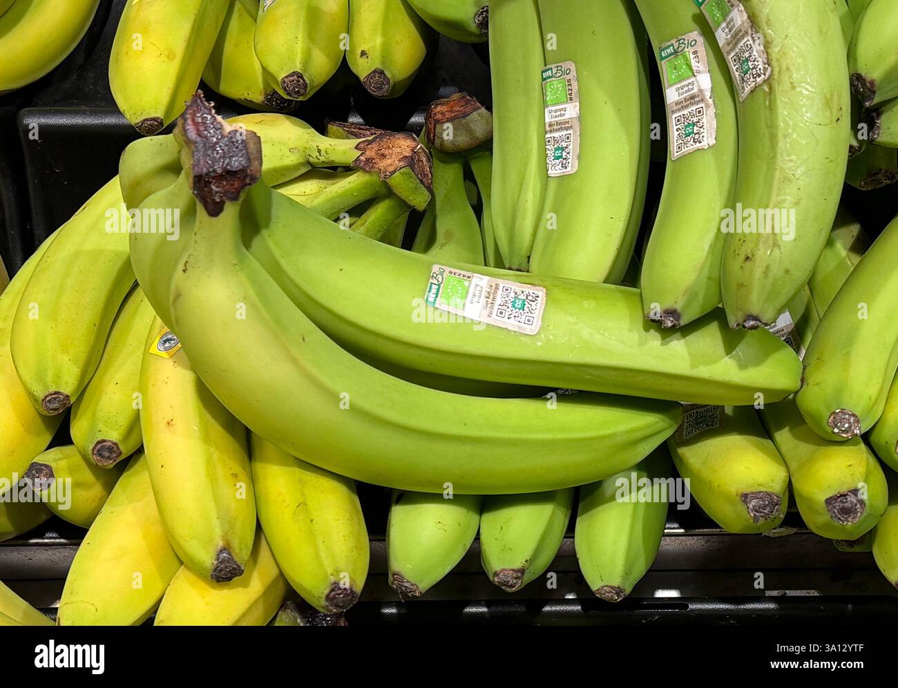 Gelbe Grüne Bananen Obst Banane Supermarkt *** Yellow Green Bananas ...