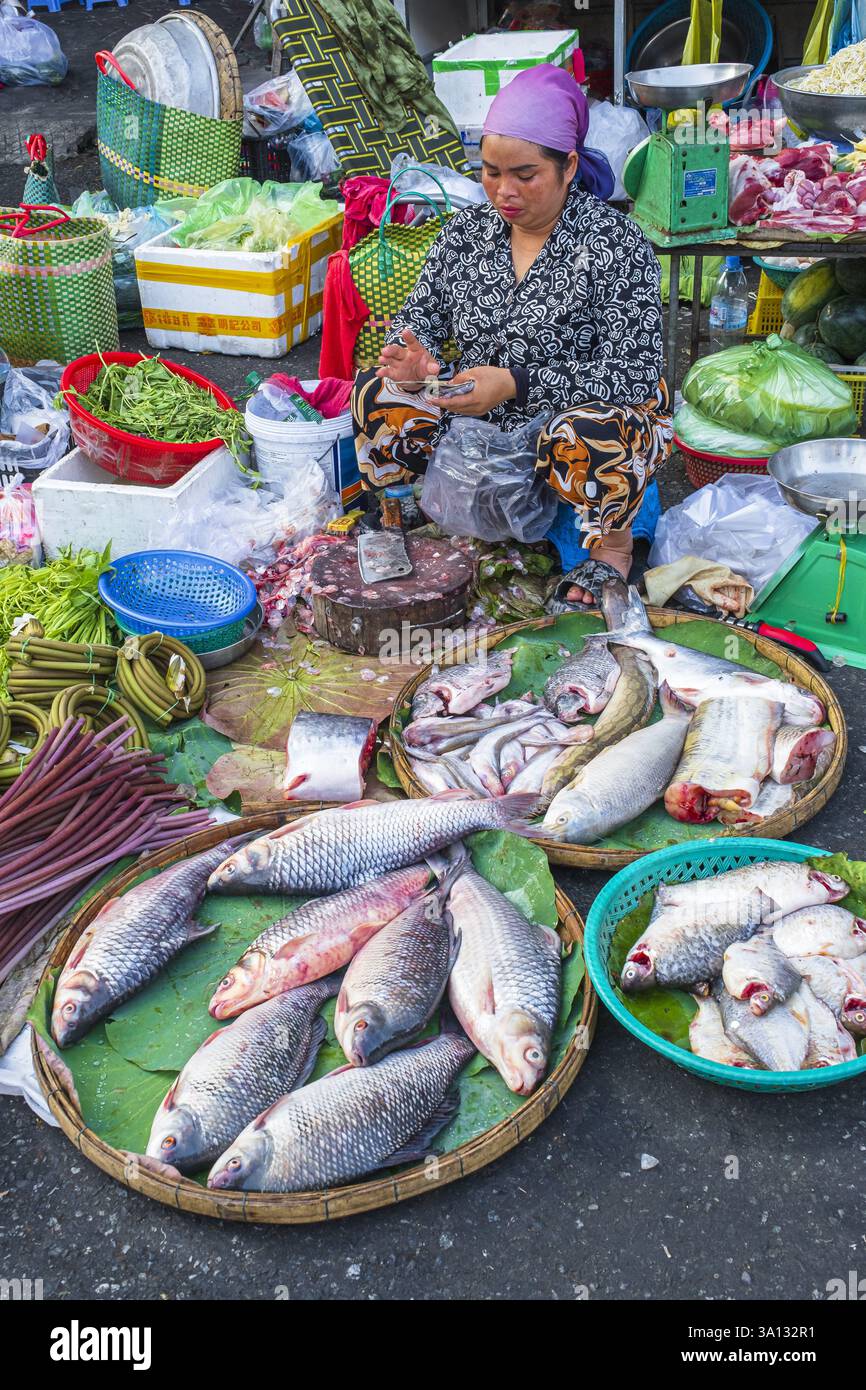 Cambodia, Phnom Penh, Prampi Makara district, Orussey Market Stock ...