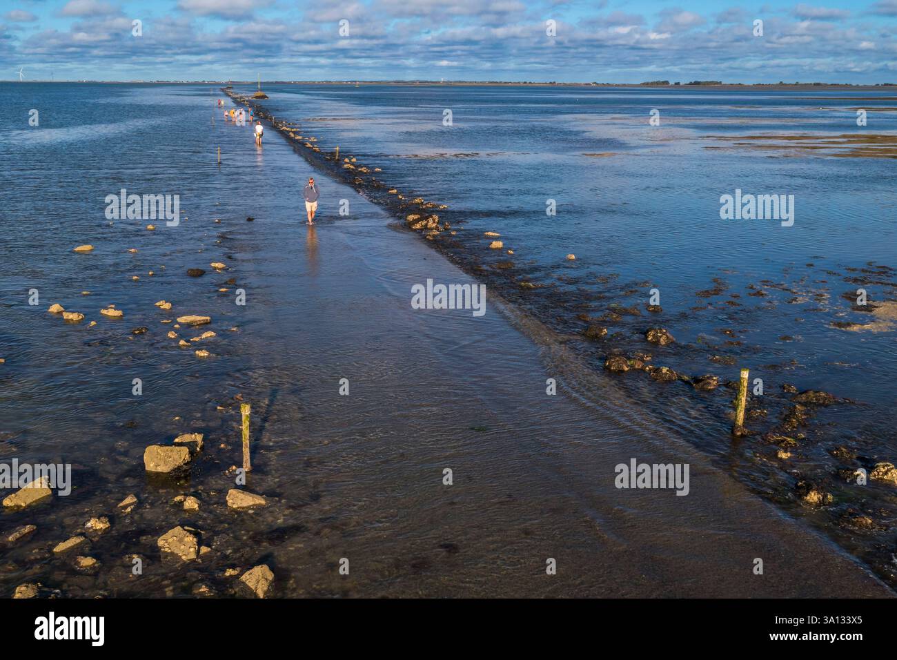 France, Vendee, Noirmoutier island, Barbatre, walkers on the Passage du ...