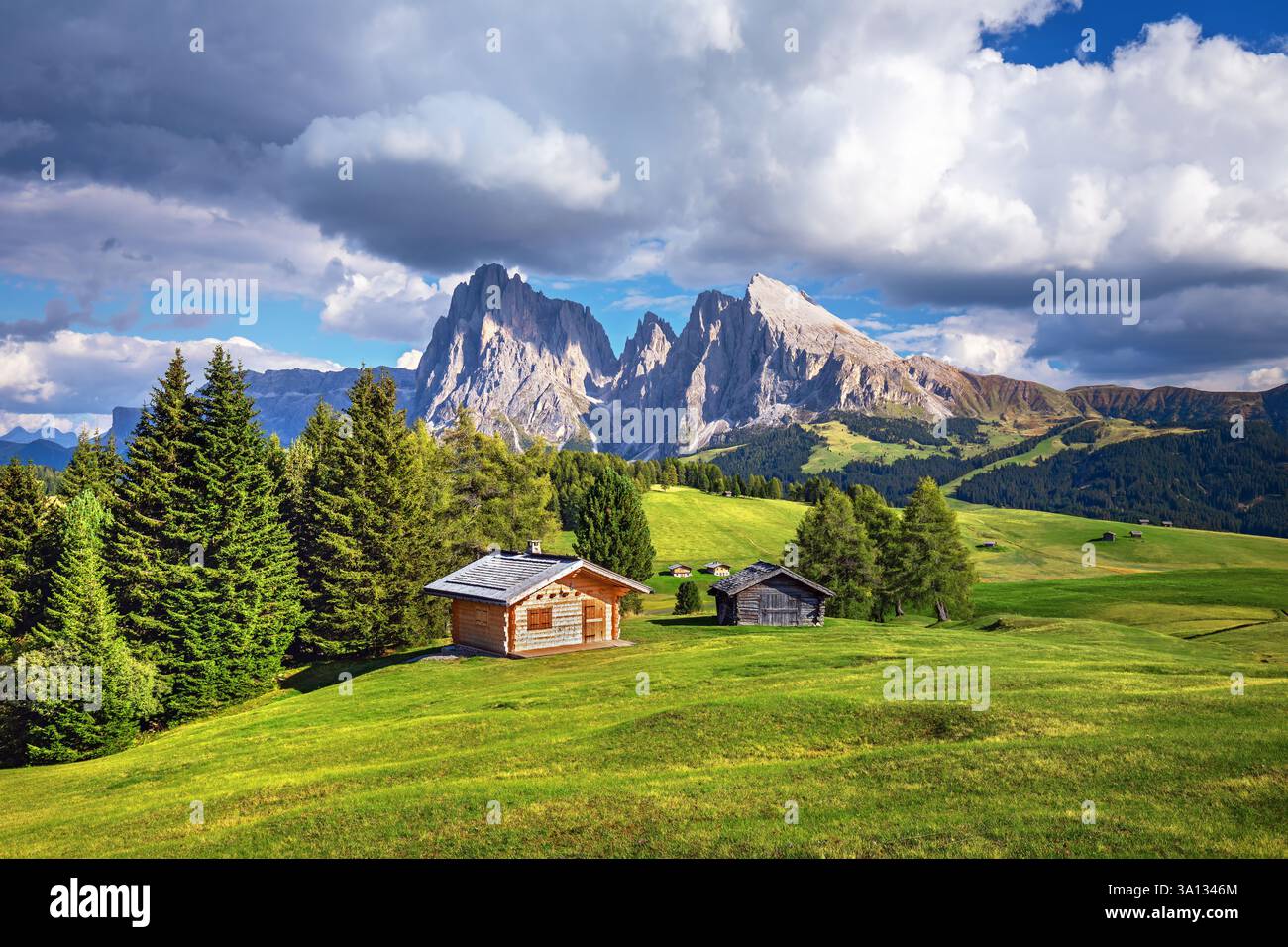 nature, created by nature, view, sky, purity, untouched, pure, sunny ...