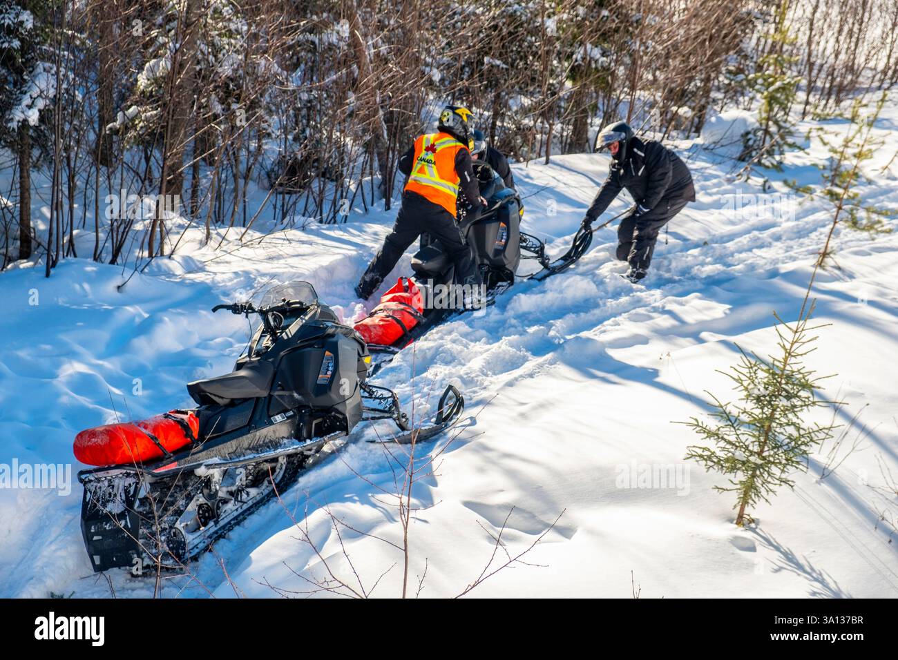Canada, Quebec province, Matawinie, off-road snowmobile in the forest ...