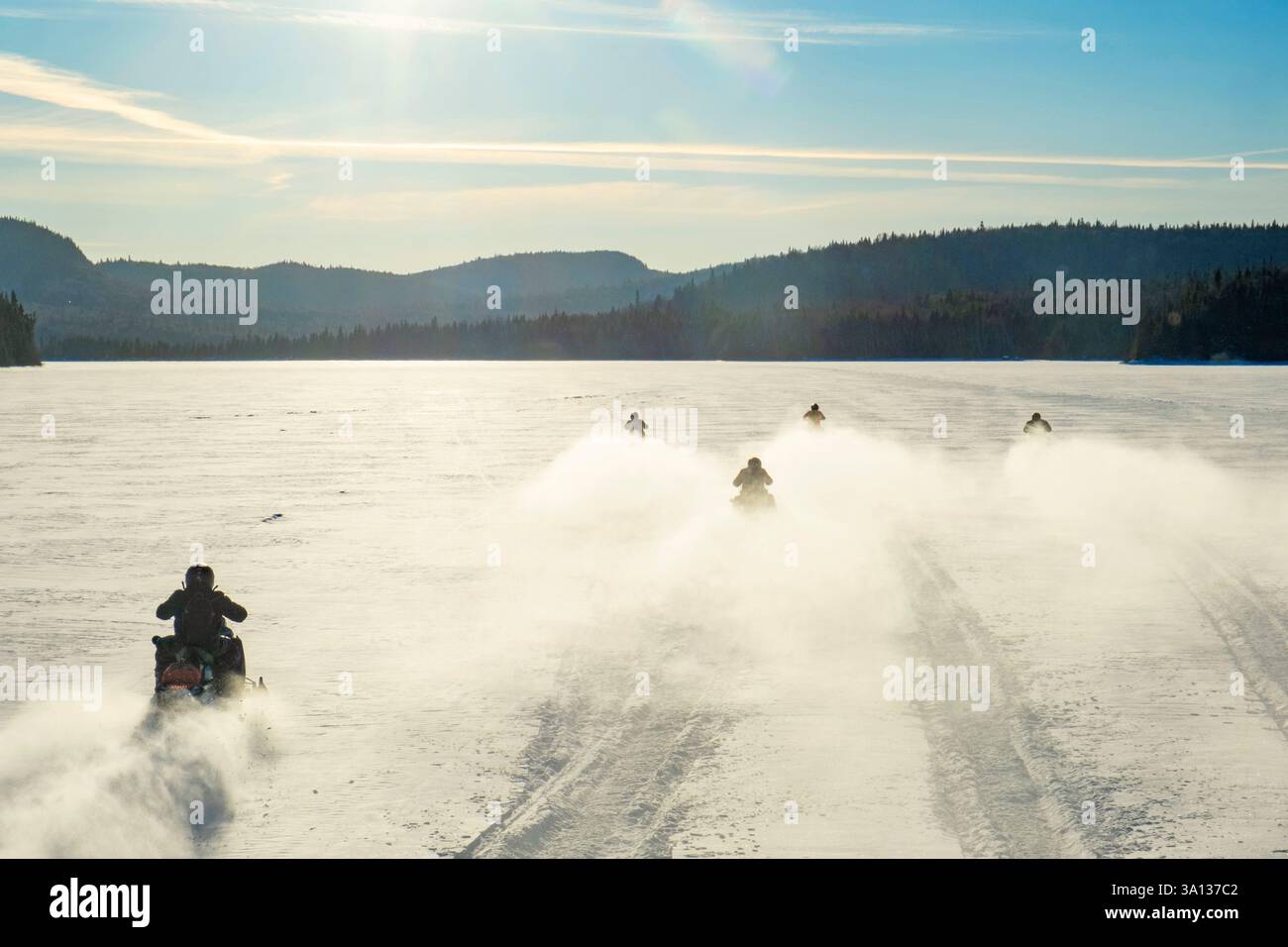 Canada, Quebec province, Matawinie, off-road snowmobile in the forest ...