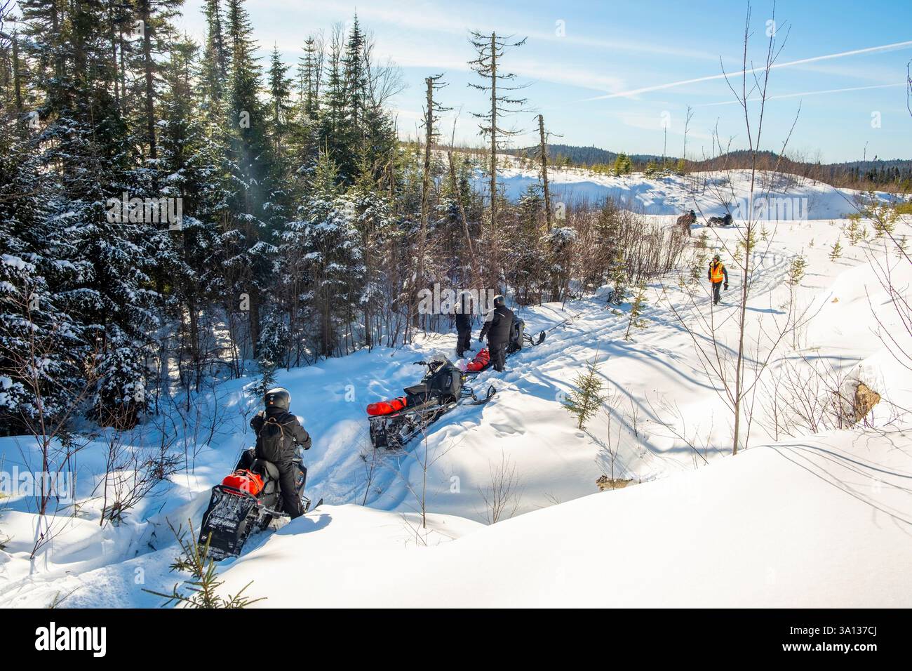 Canada, Quebec province, Matawinie, off-road snowmobile in the forest ...