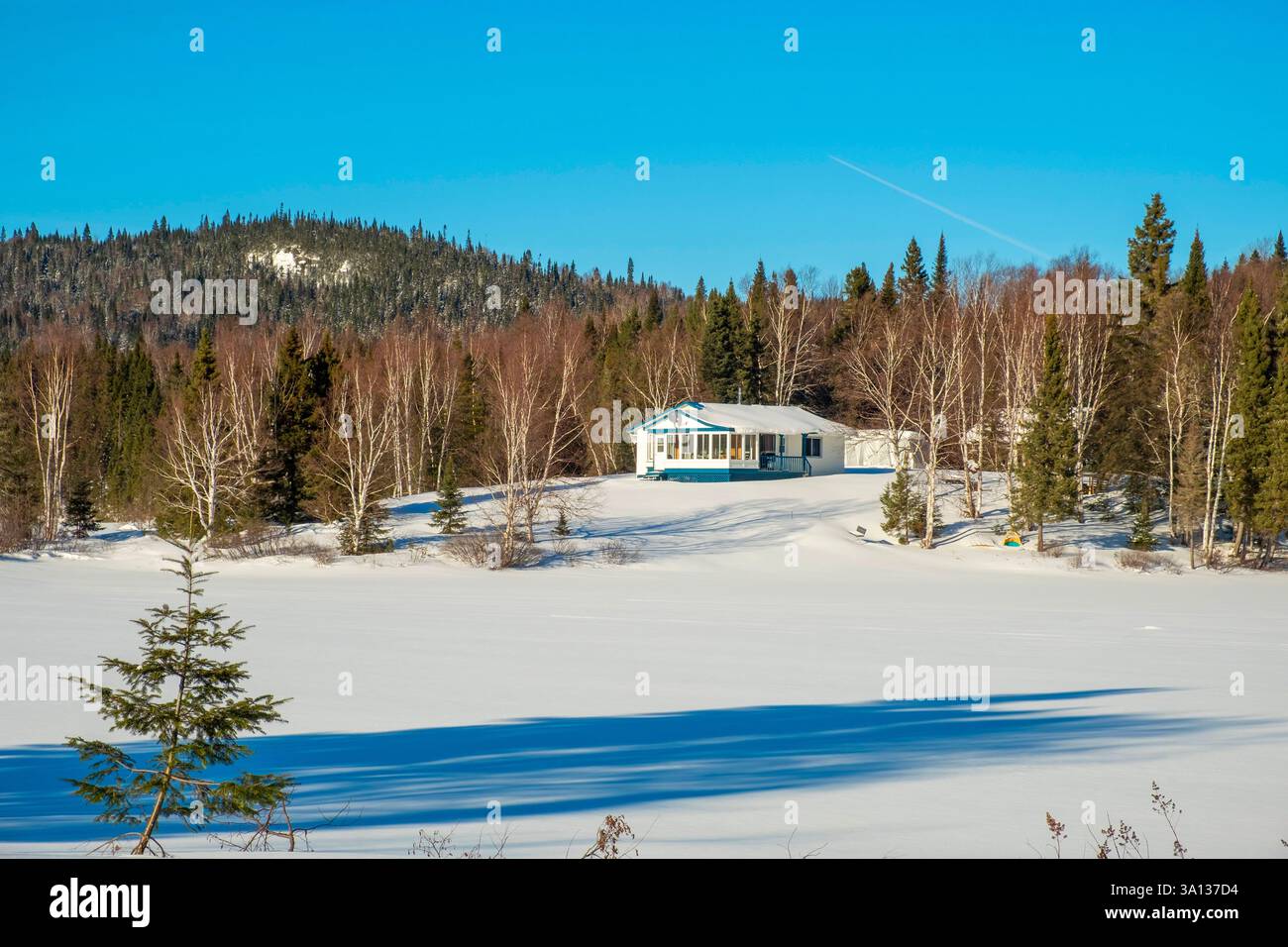 Canada, Quebec province, Matawinie, off-road snowmobile in the forest ...