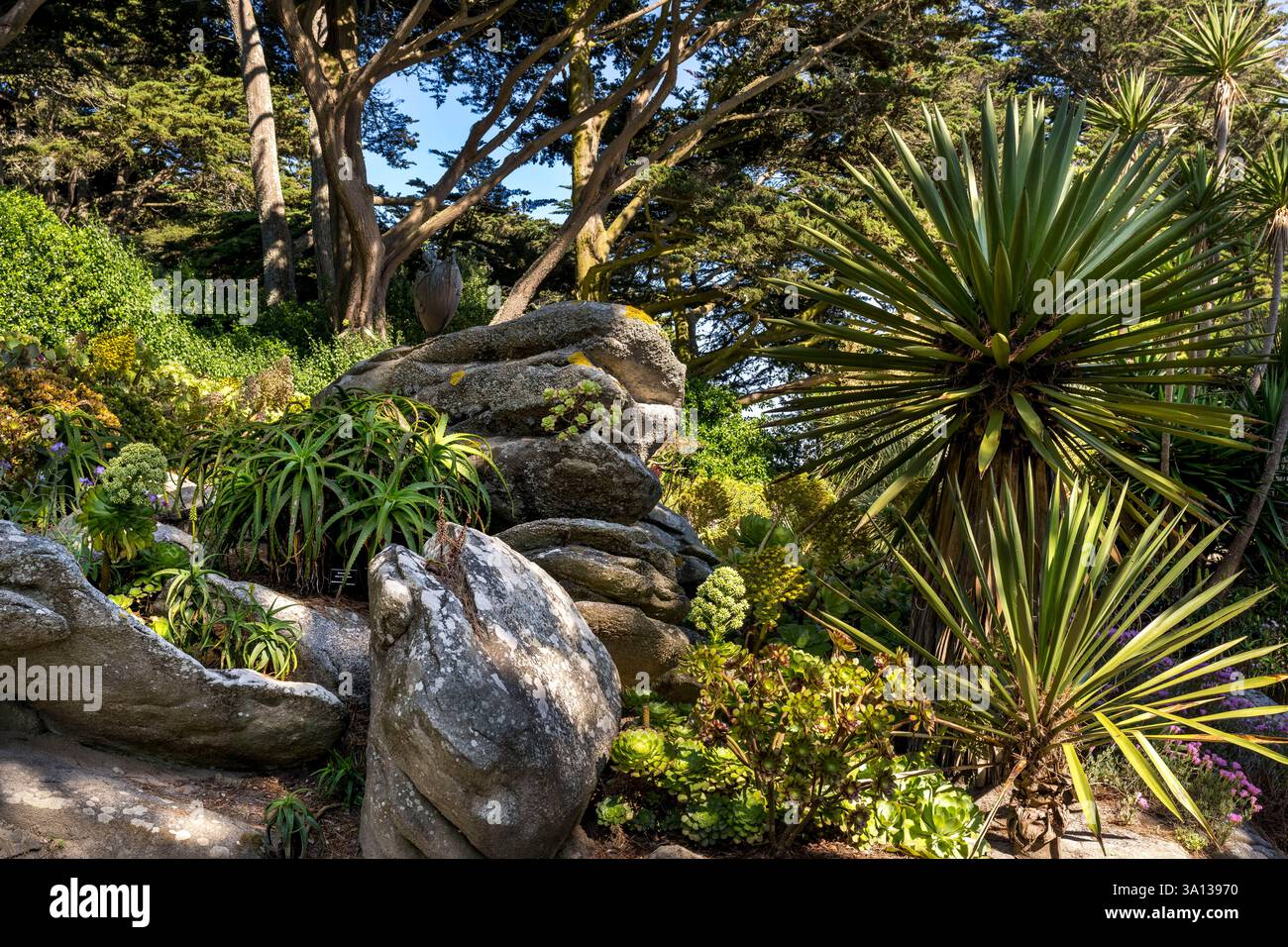France, Finistère, Ponant Islands, Ile de Batz (Batz Island), Georges ...