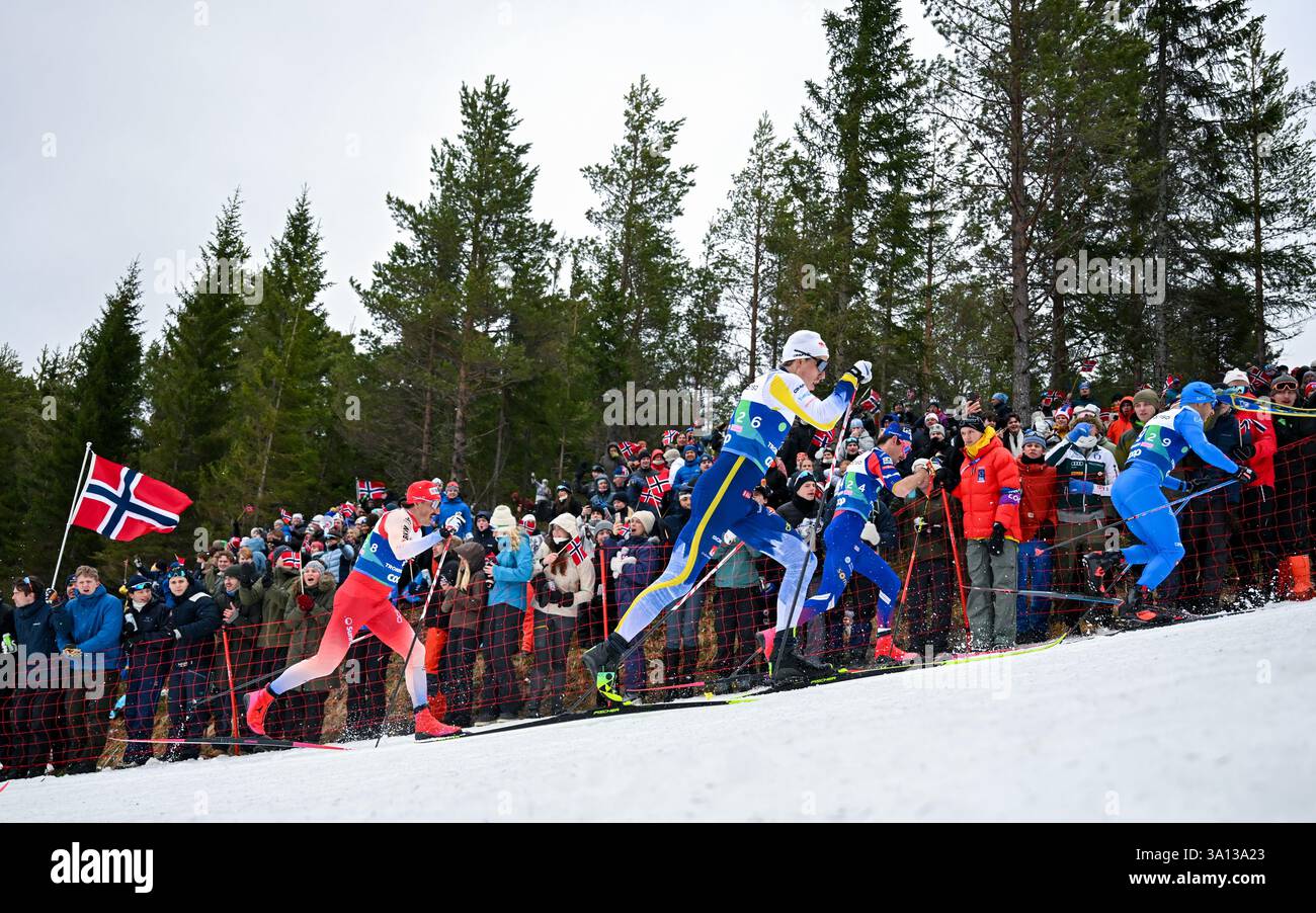 Trondheim, Norway. 06th Mar, 2025. Nordic skiing, World Championships ...