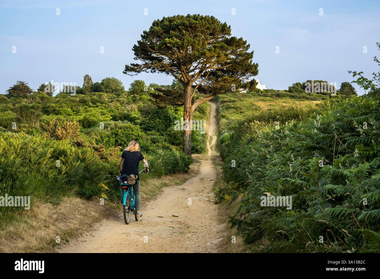 France, Morbihan, Groix Island, path along Grands Sables beach Stock ...
