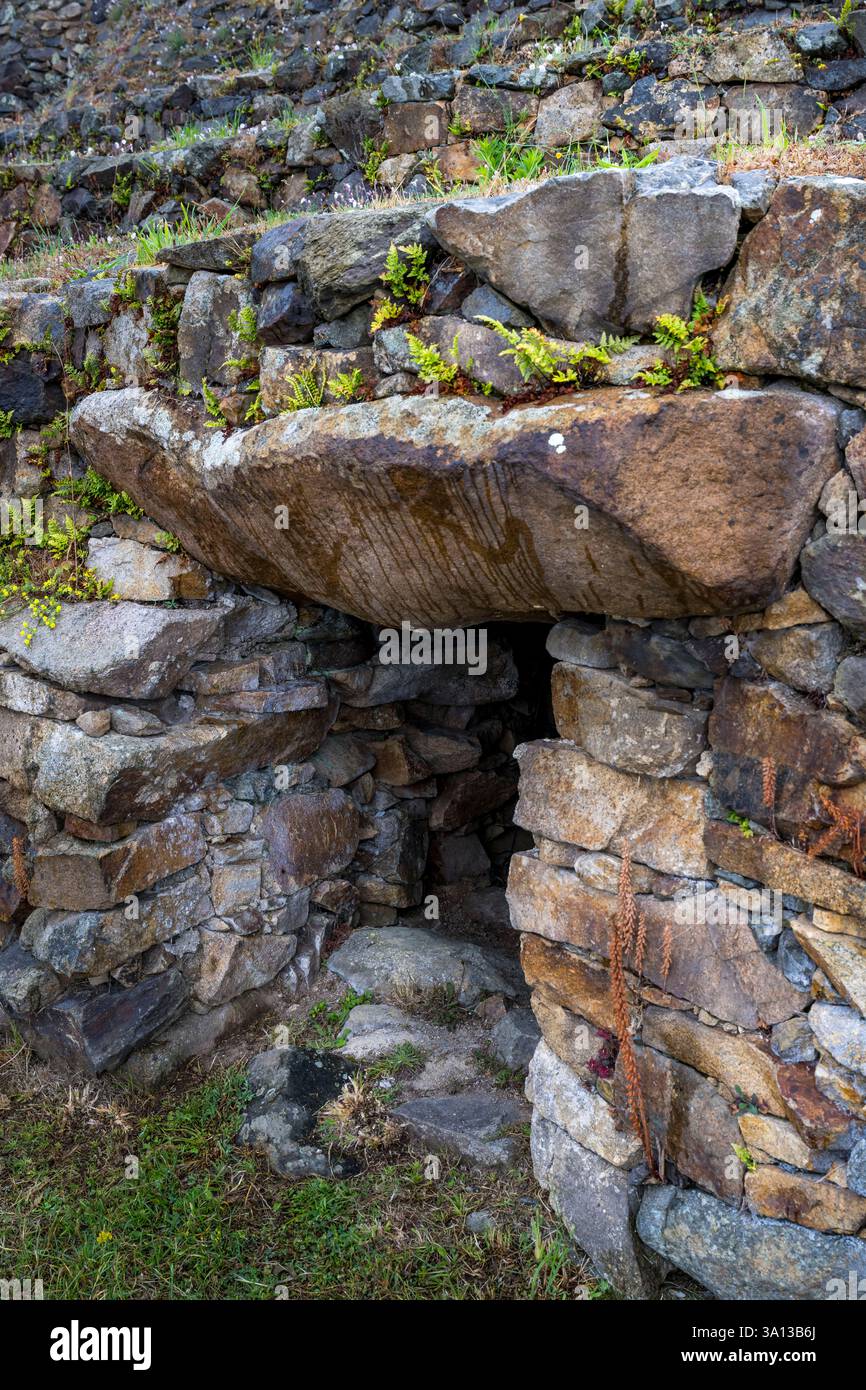 France, Finistère, Morlaix bay, Kernehelen peninsula, 6000 years old ...