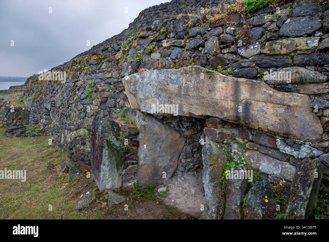 France, Finistère, Morlaix bay, Kernehelen peninsula, 6000 years old ...