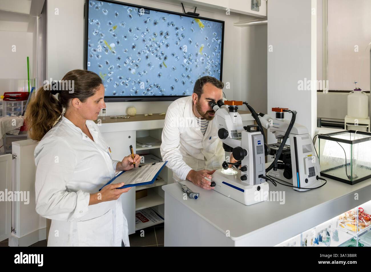 France, Finistère, Brest, Océanopolis, museum of the sea, Océanolab involves bringing together ...