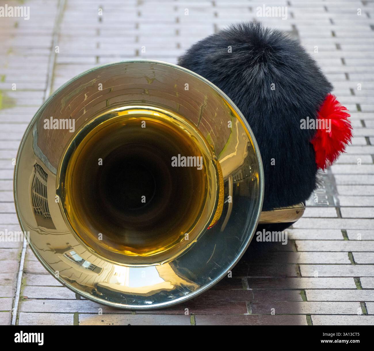 Wellington Barracks, London, UK. 6th March, 2025. Annual inspection of ...