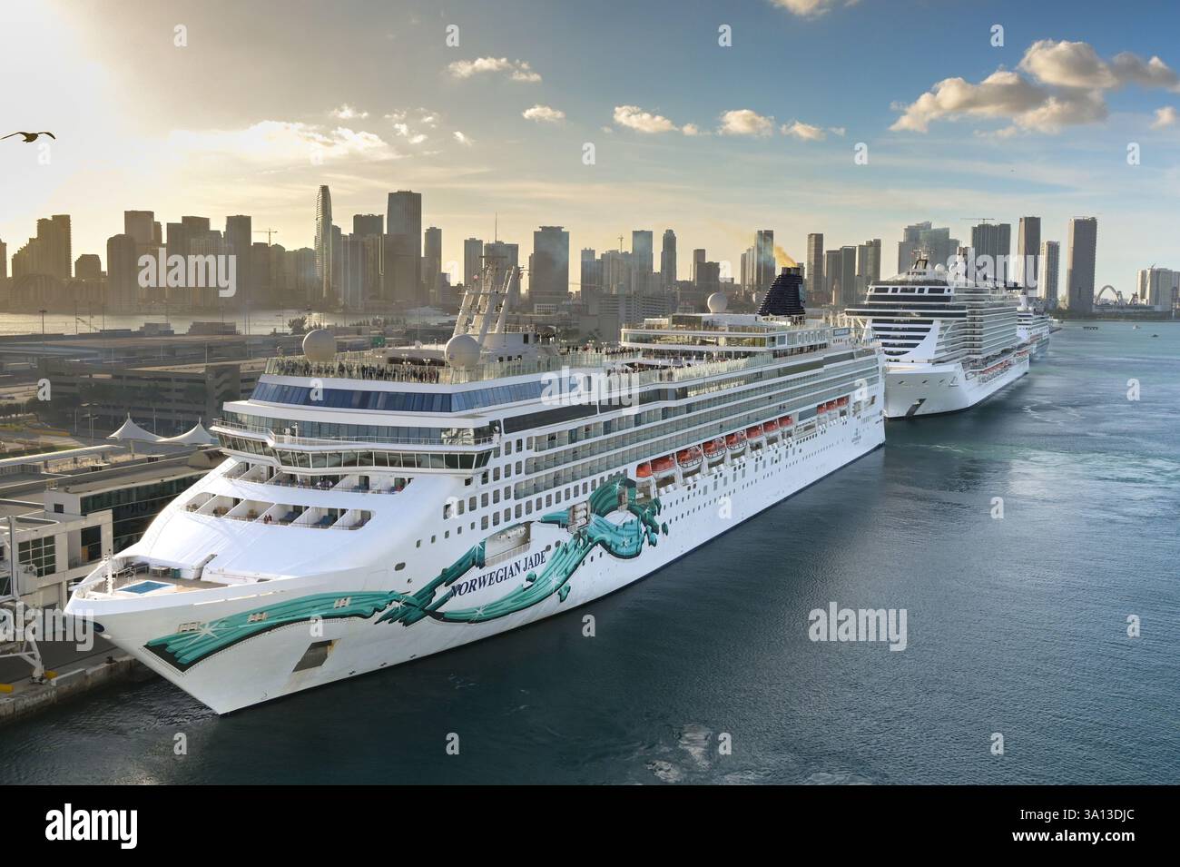 Miami, Florida, USA - 4 January 2025: Norwegian Jade and other cruise ...