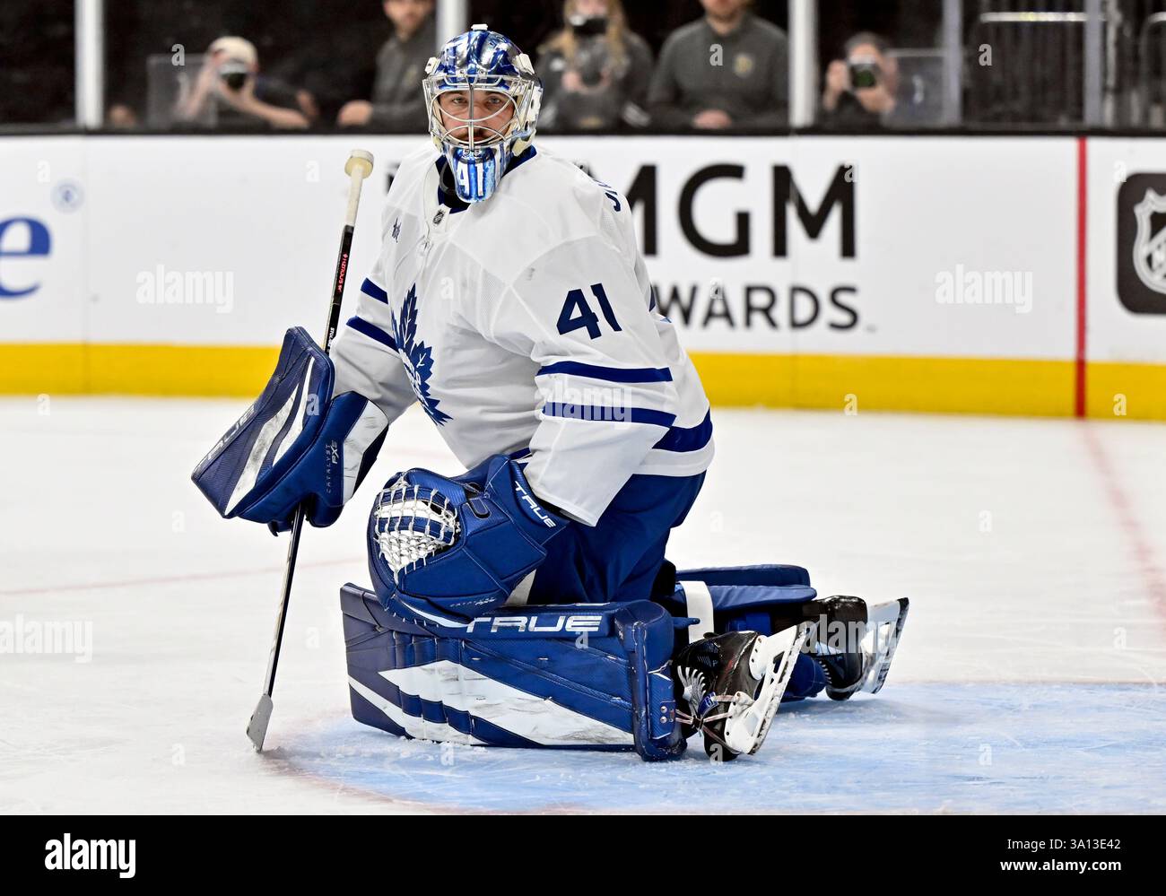Toronto Maple Leafs goaltender Anthony Stolarz (41) looks on during the ...
