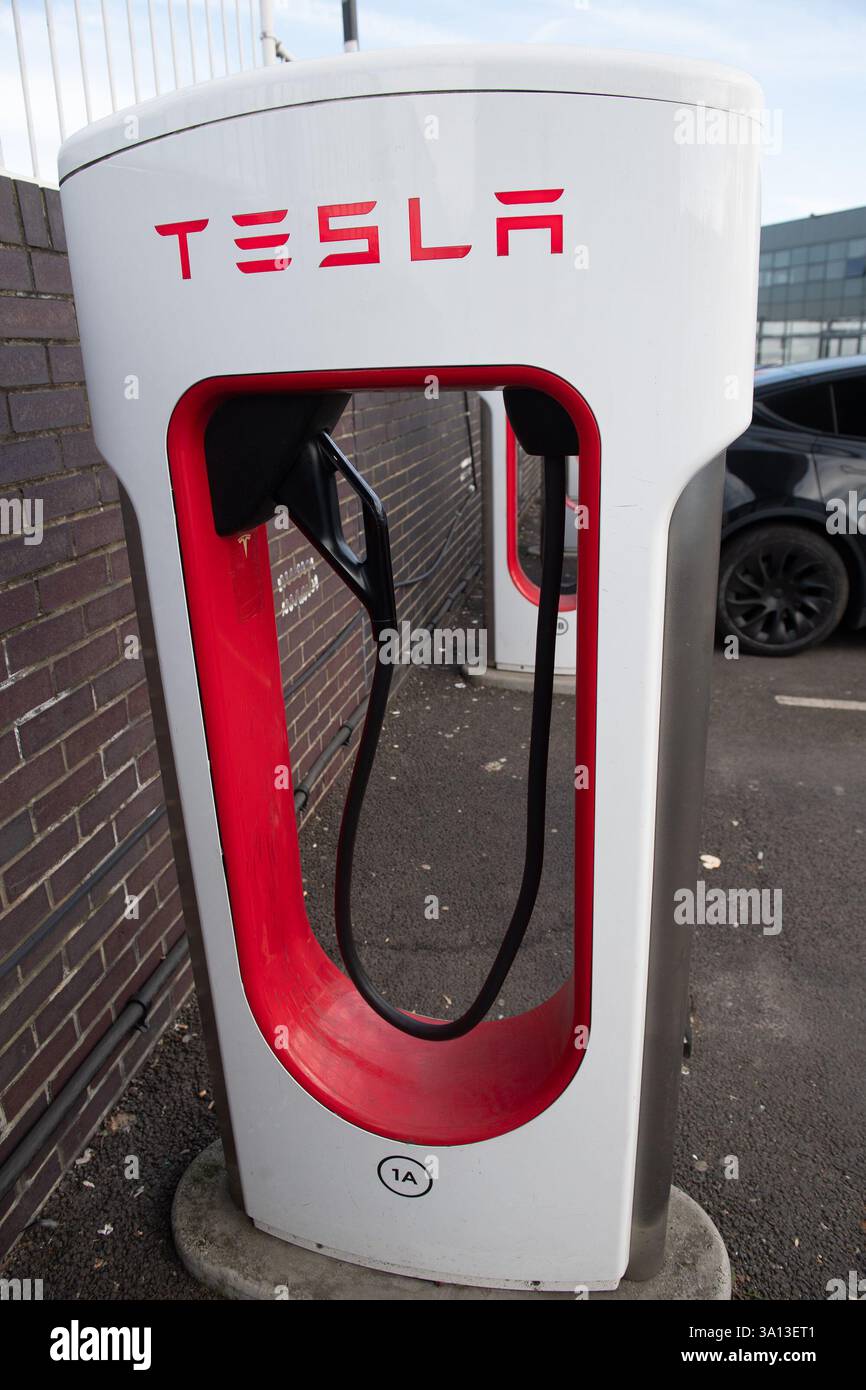 London, UK. 06 Mar 2025. A general view of a Tesla car dealership in ...