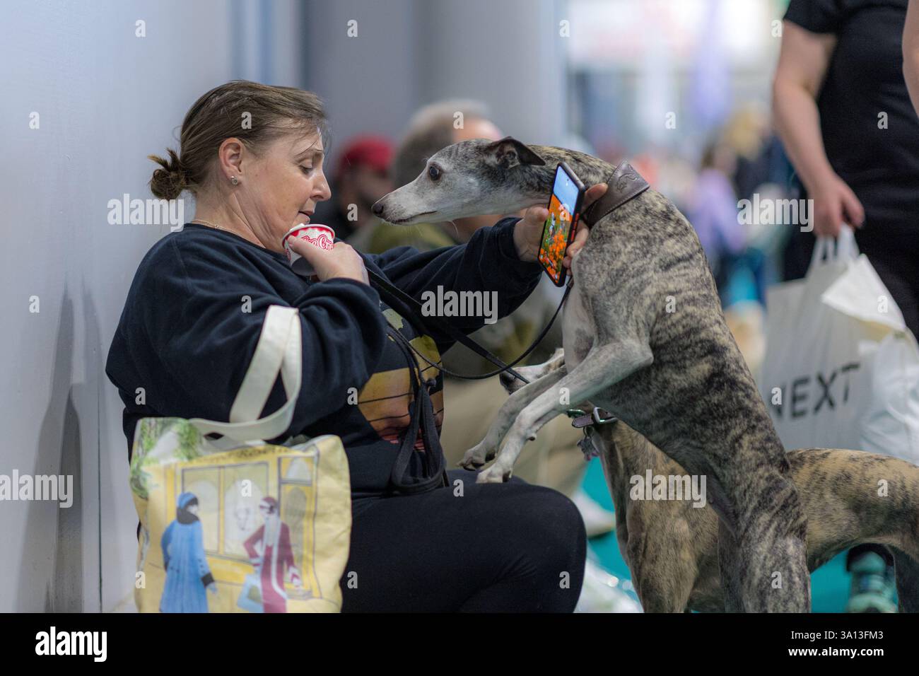 Crufts 2025 uk hi-res stock photography and images - Alamy