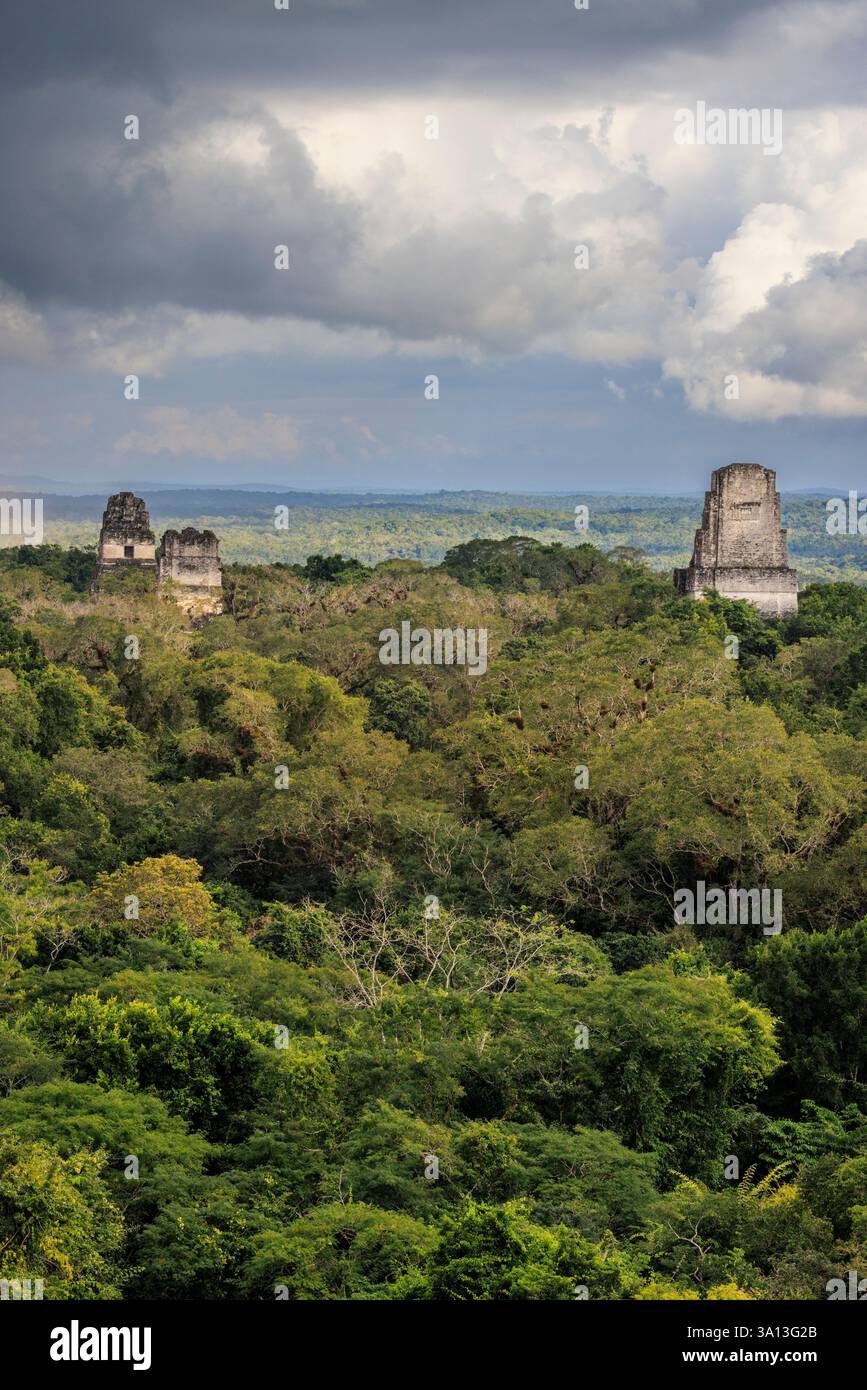 Mayan Temples emerging from the jungle at Tikal National Park ...