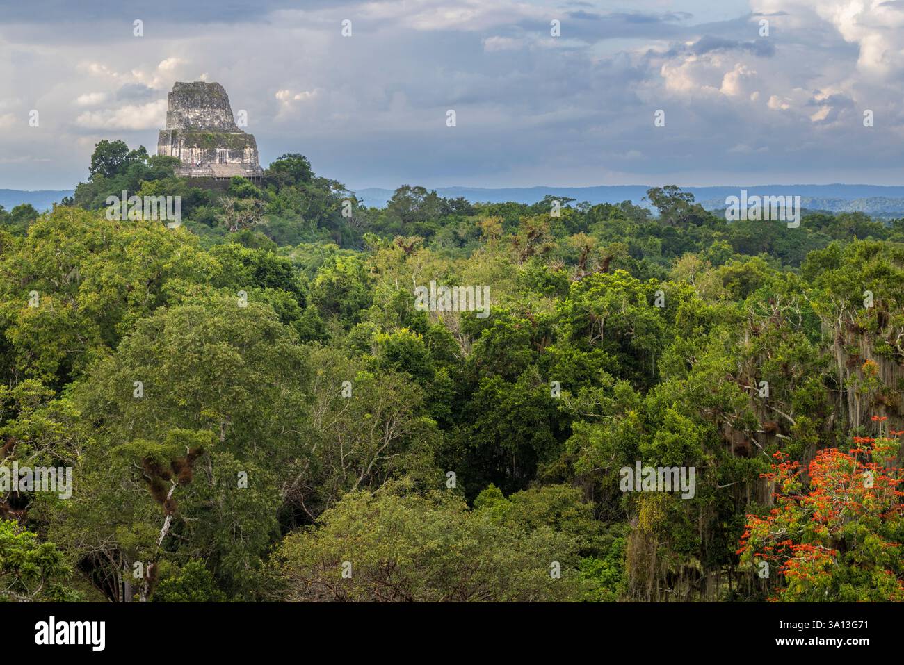 Mayan Temple IV emerging from the jungle at Tikal National Park ...