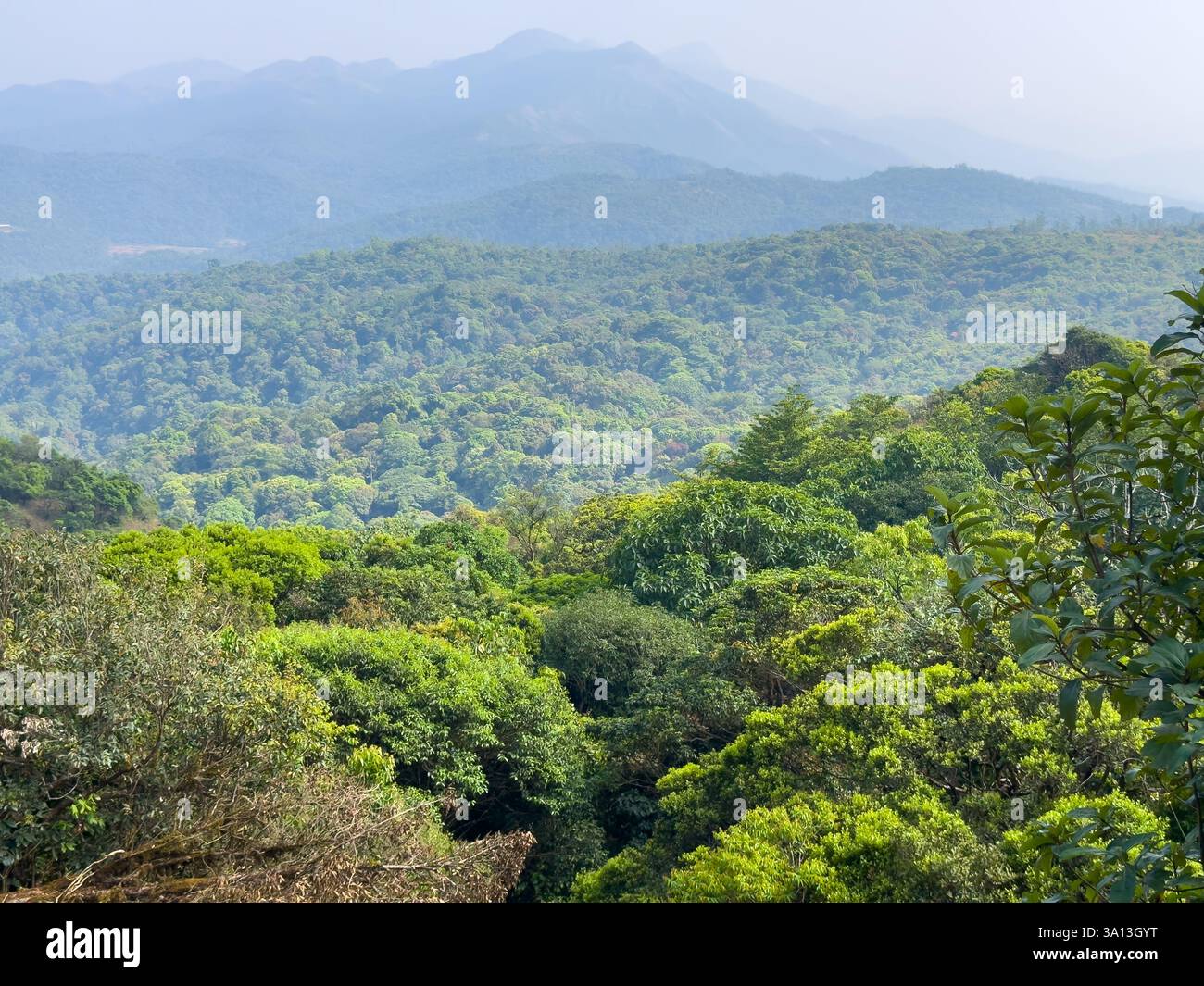 Scenic view of the landscape along the Talakaveri which is considered ...