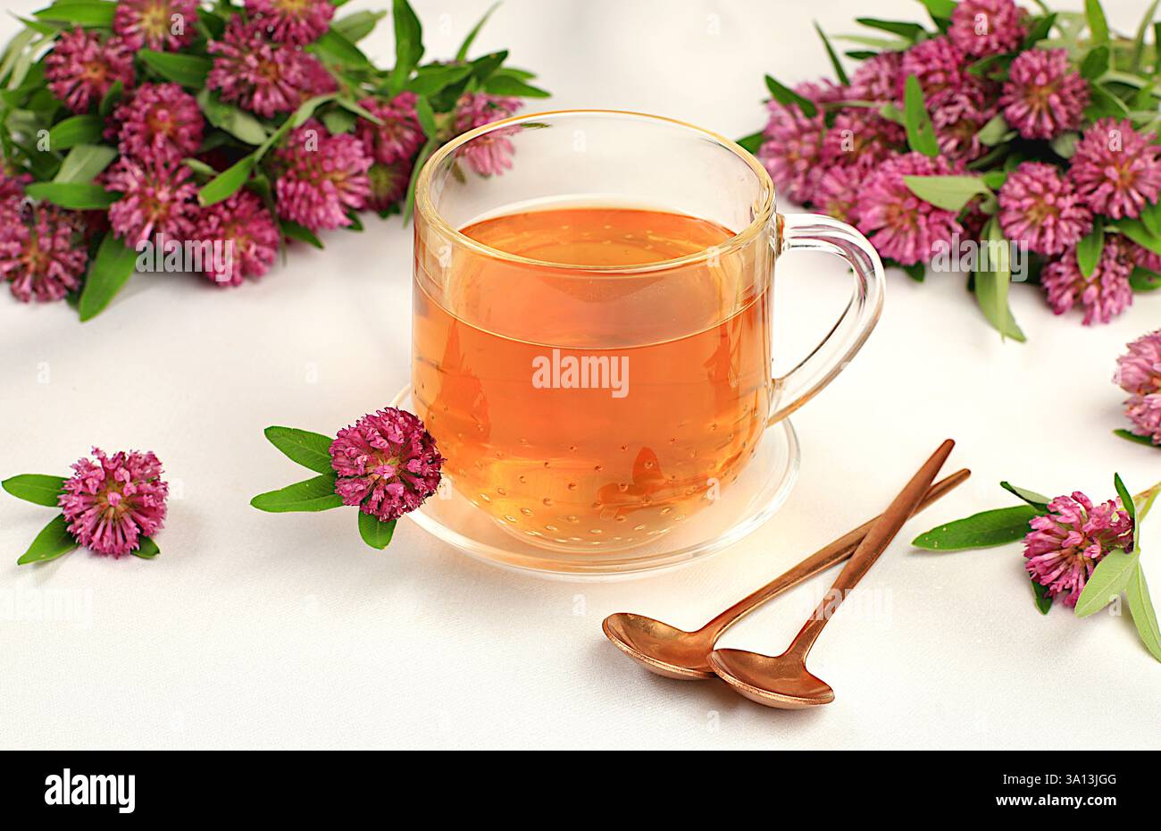 Medicinal herbal tea or infusion of red clover in a glass cup with ...
