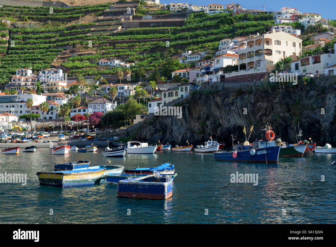 Camara lobos cliffs madeira hi-res stock photography and images - Alamy