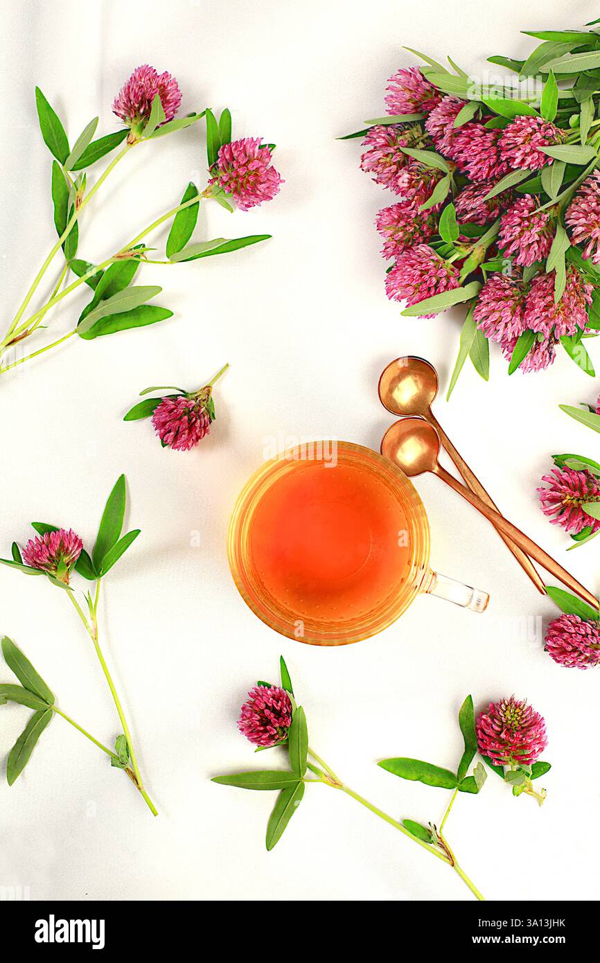 Medicinal herbal tea or infusion of red clover in a glass cup with ...