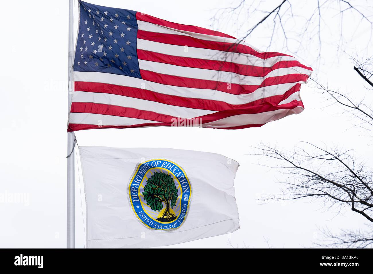 UNITED STATES - MARCH 6: Flags fly outside of the Lyndon Baines Johnson ...