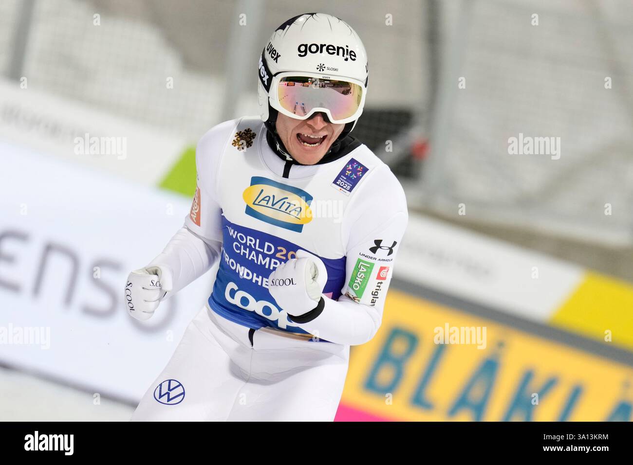 Anze Lanisek, of Slovenia, celebrates after his second round jump of ...
