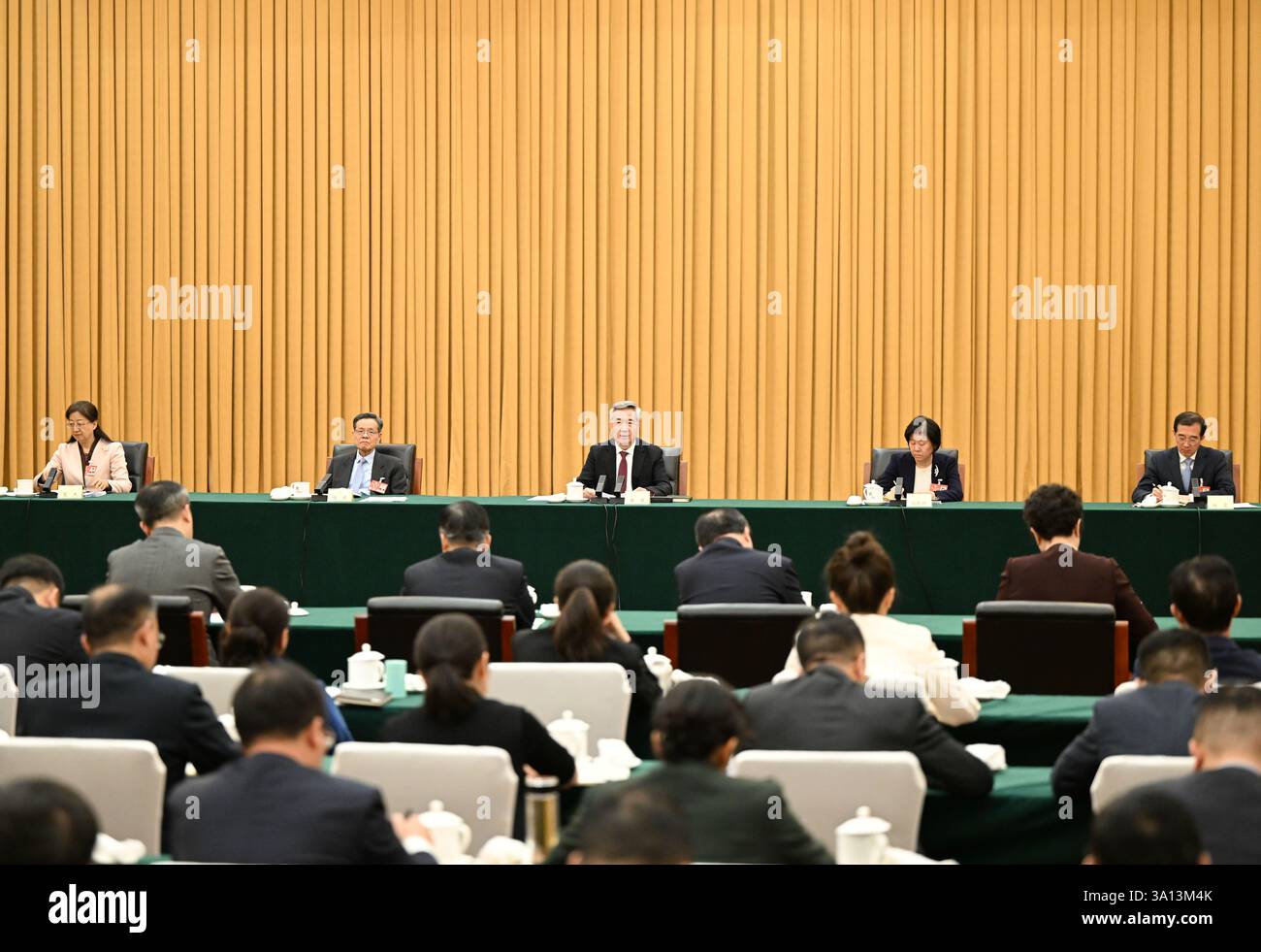 (250306) -- BEIJING, March 6, 2025 (Xinhua) -- Li Xi, a member of the ...