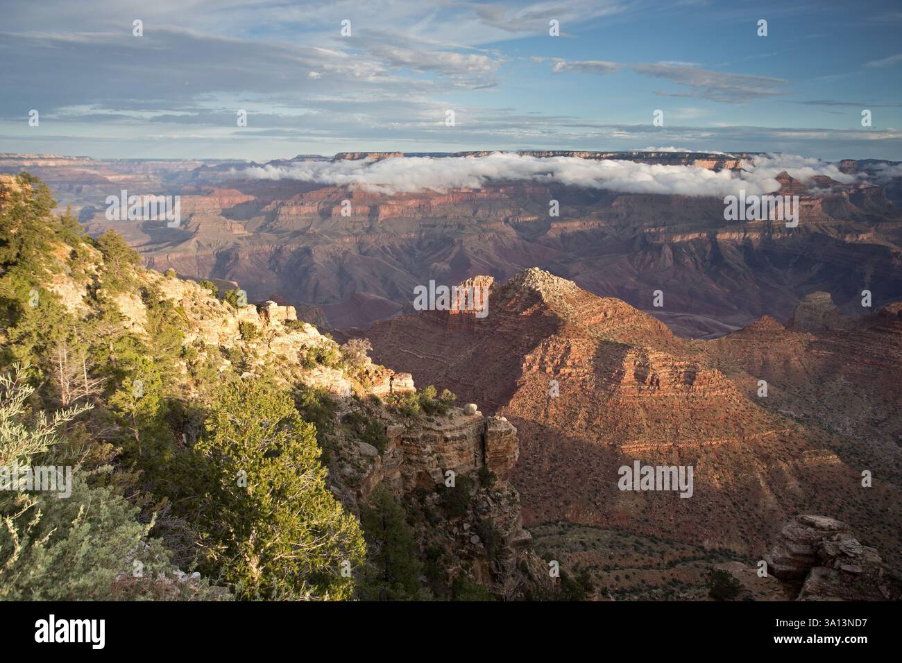 Sided view hi-res stock photography and images - Alamy