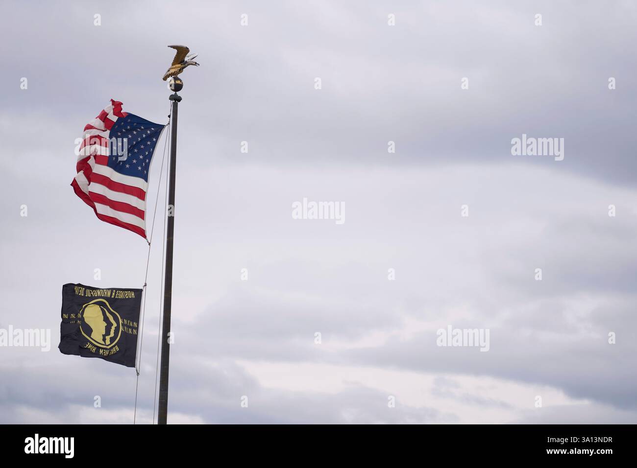 The Hostage and Wrongful Detainee flag is raised at the State ...