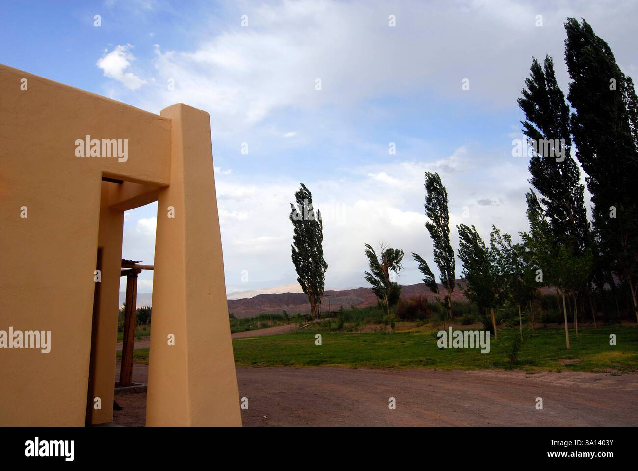 earth staple in wood construction, futuristic and experimental building ...