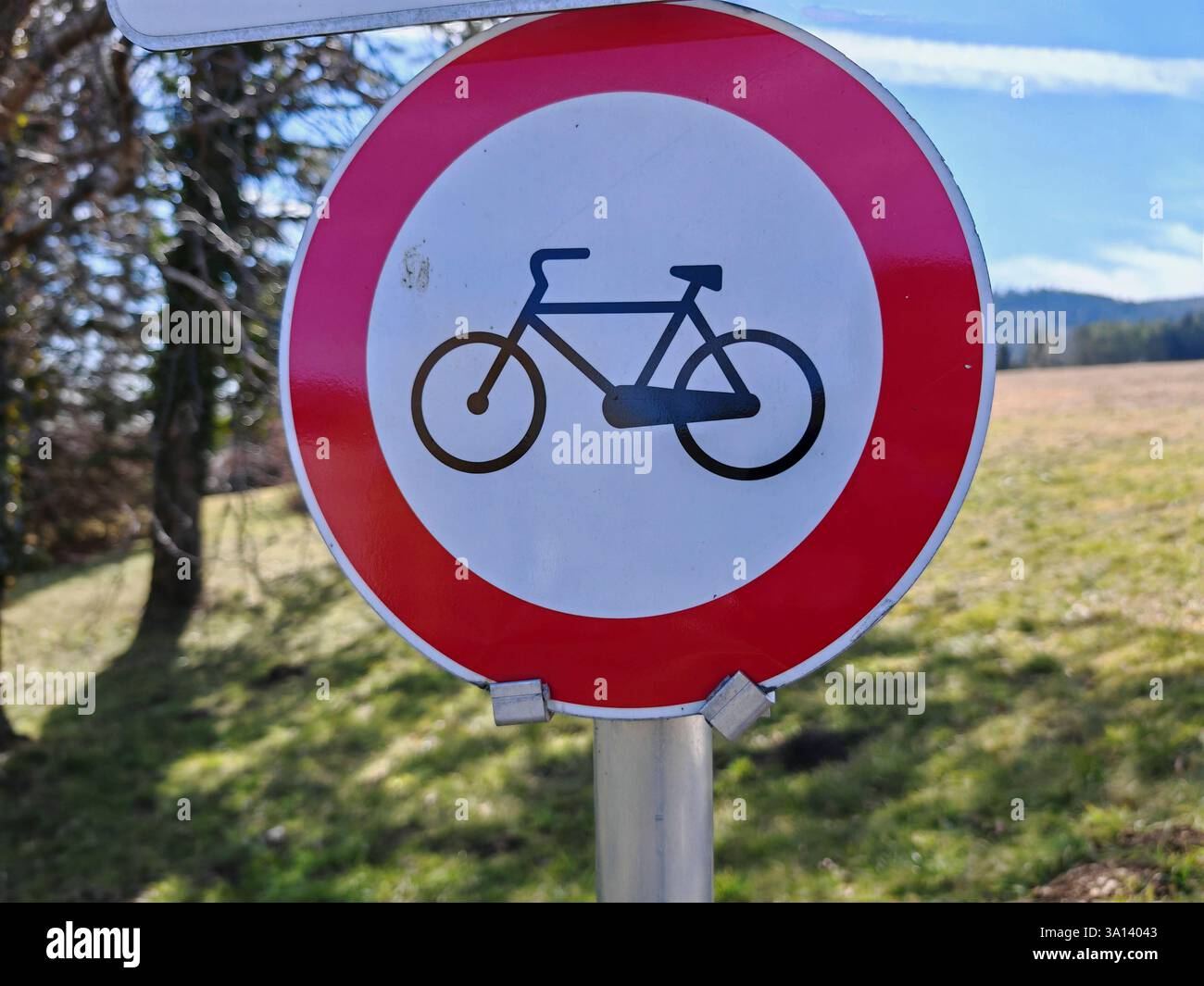 driving and transport on a bicycle, environmentally friendly traffic ...