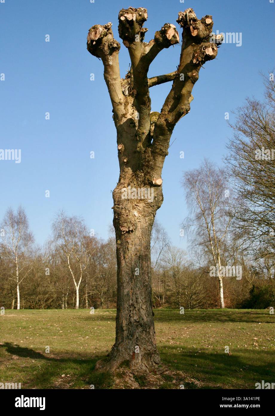 Faming france hi-res stock photography and images - Alamy