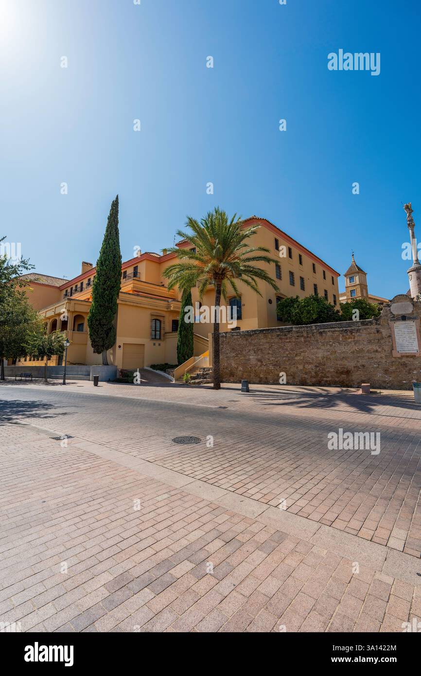 Palm tree towering courtyard hi-res stock photography and images - Alamy