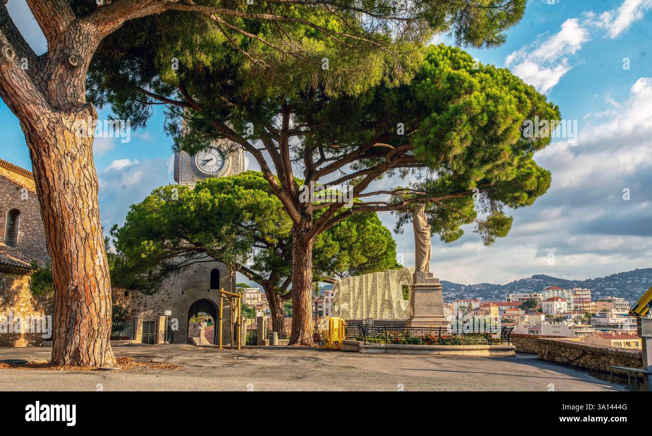 Amazing pine trees. old clock tower and c and statue of Our lady of ...