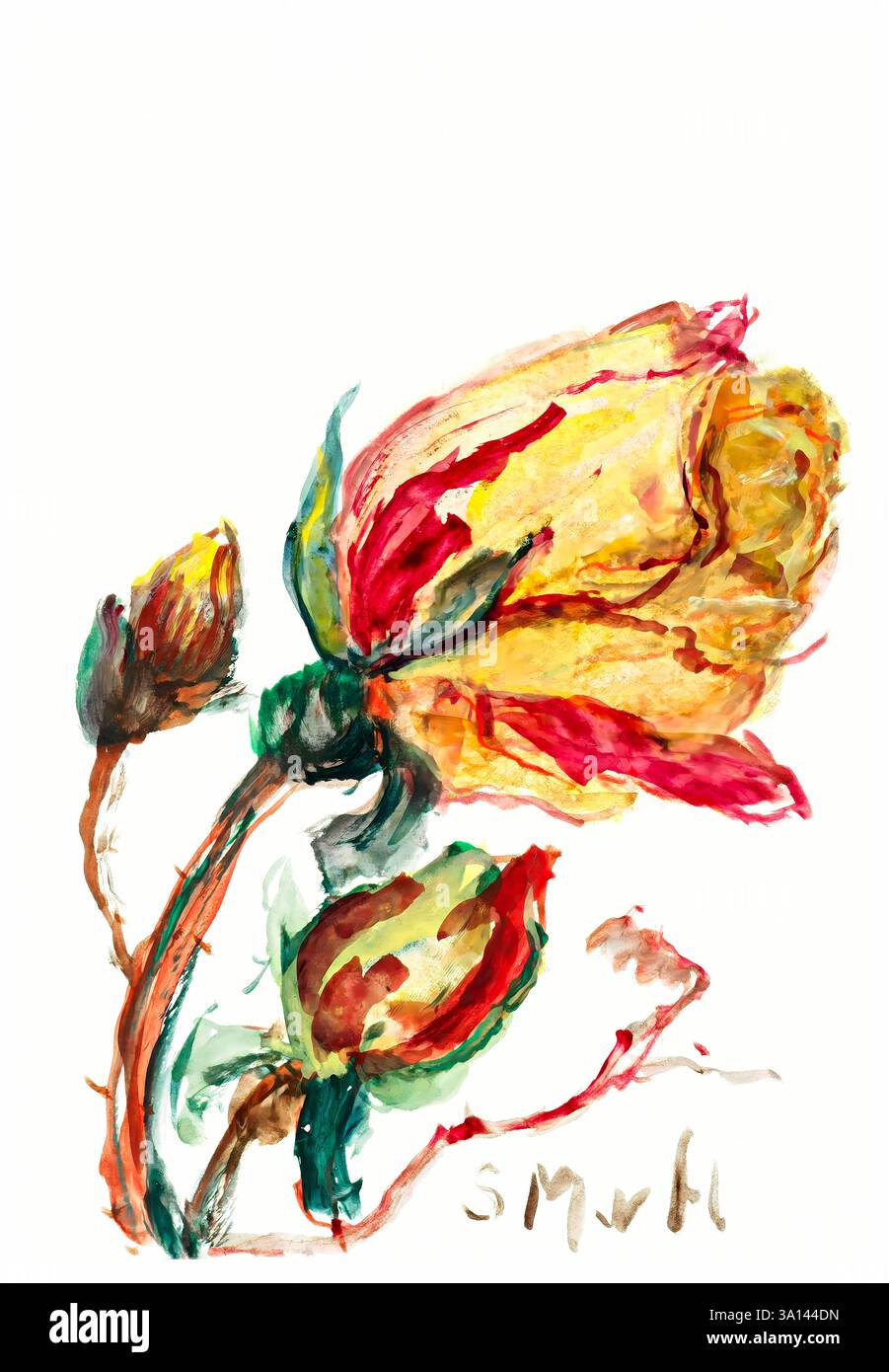 Classic still life in Cut Out Stock Images & Pictures - Alamy