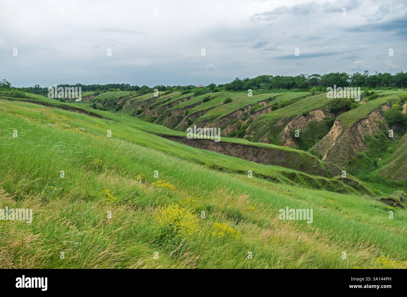 Ravines. Erosion of agricultural land by spring meltwater and ...