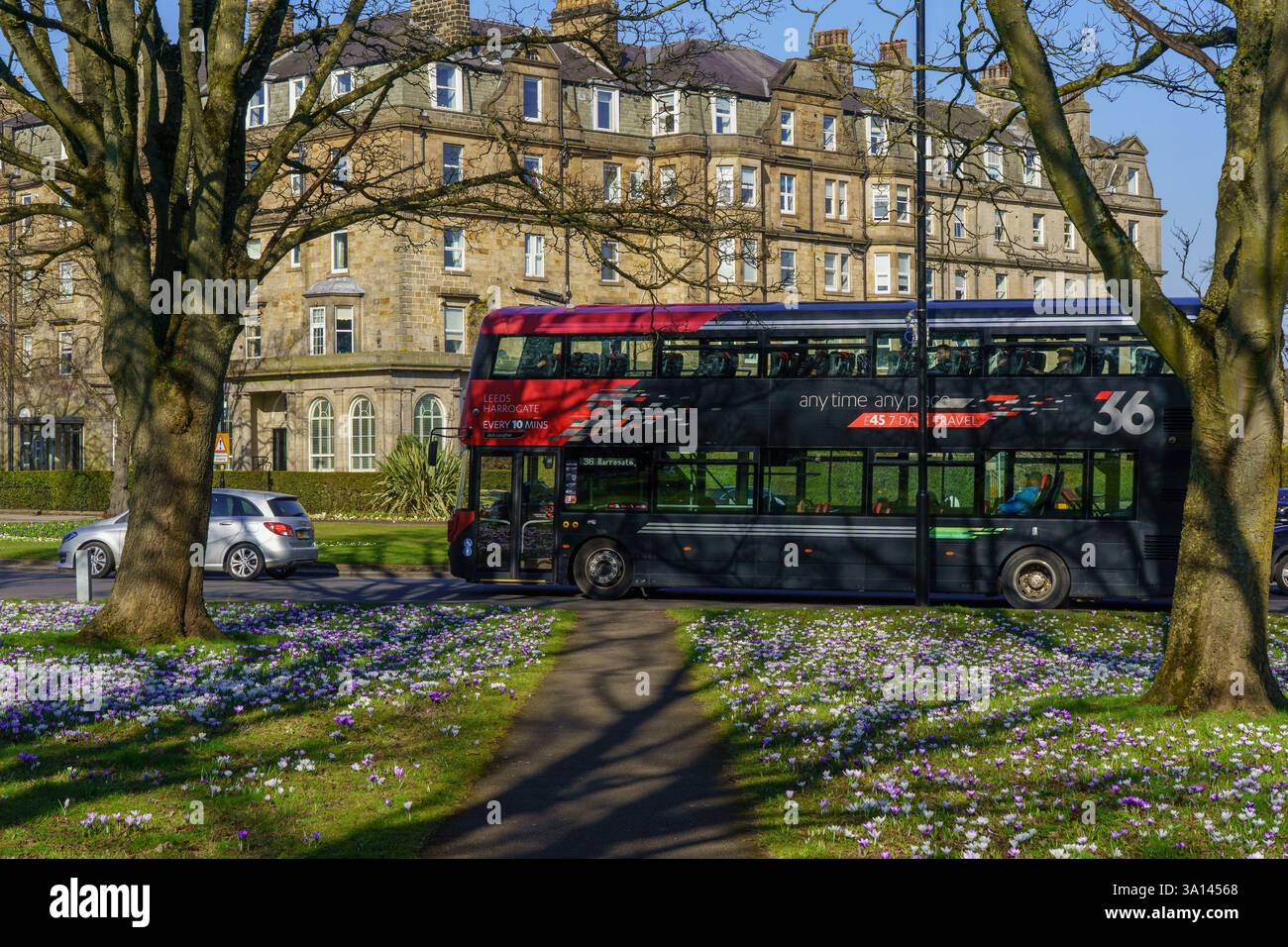 Bus drives past commuter hi-res stock photography and images - Alamy