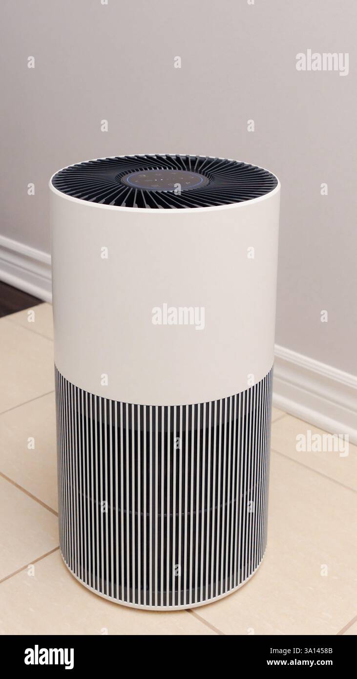 Tall round air purifier with a black top fan and a white body on a tile ...