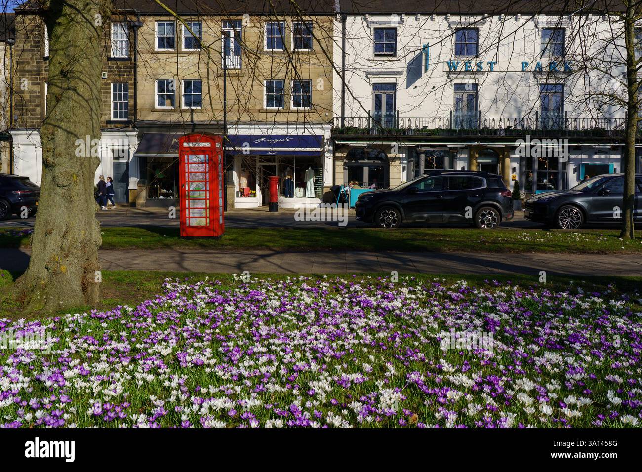 Red phone box and flower shop hi-res stock photography and images - Alamy