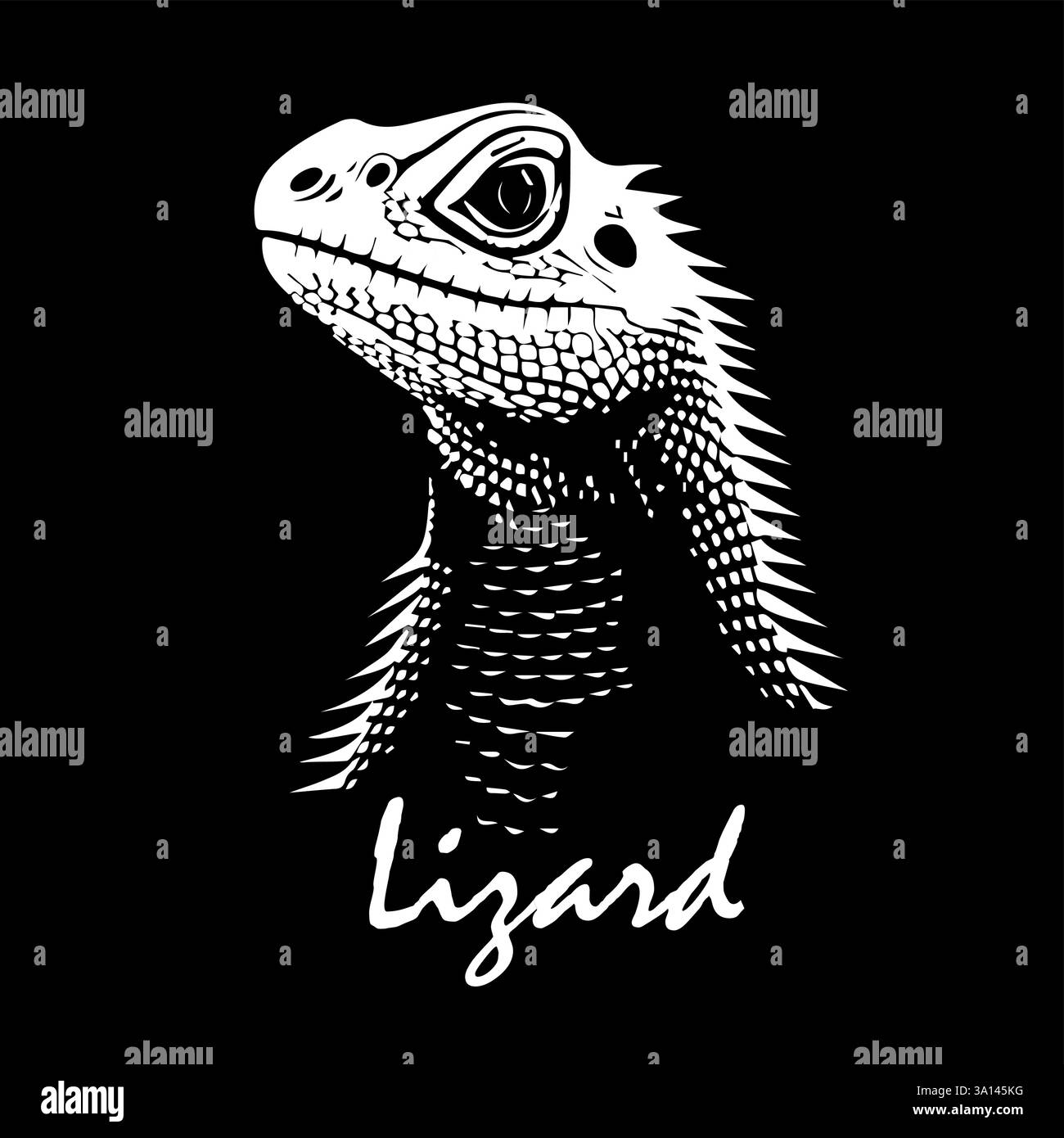 Lizard head on black background. . hand drawing. Not AI, Vector ...