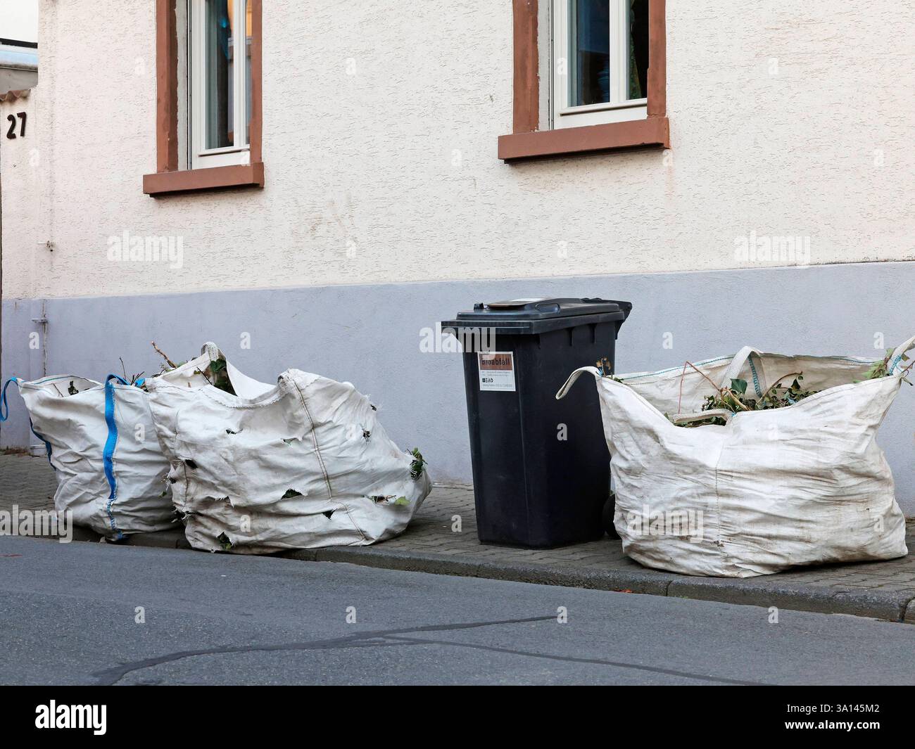 Seit Wochen nicht geleerte Biotonnen stinken 06.03.2025 Folgen der ...