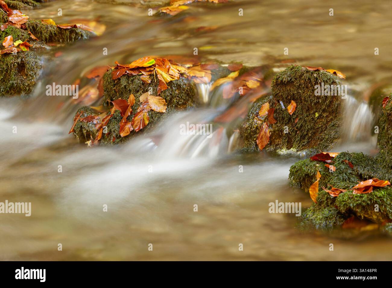 Mountain stream autumn colors hi-res stock photography and images - Alamy