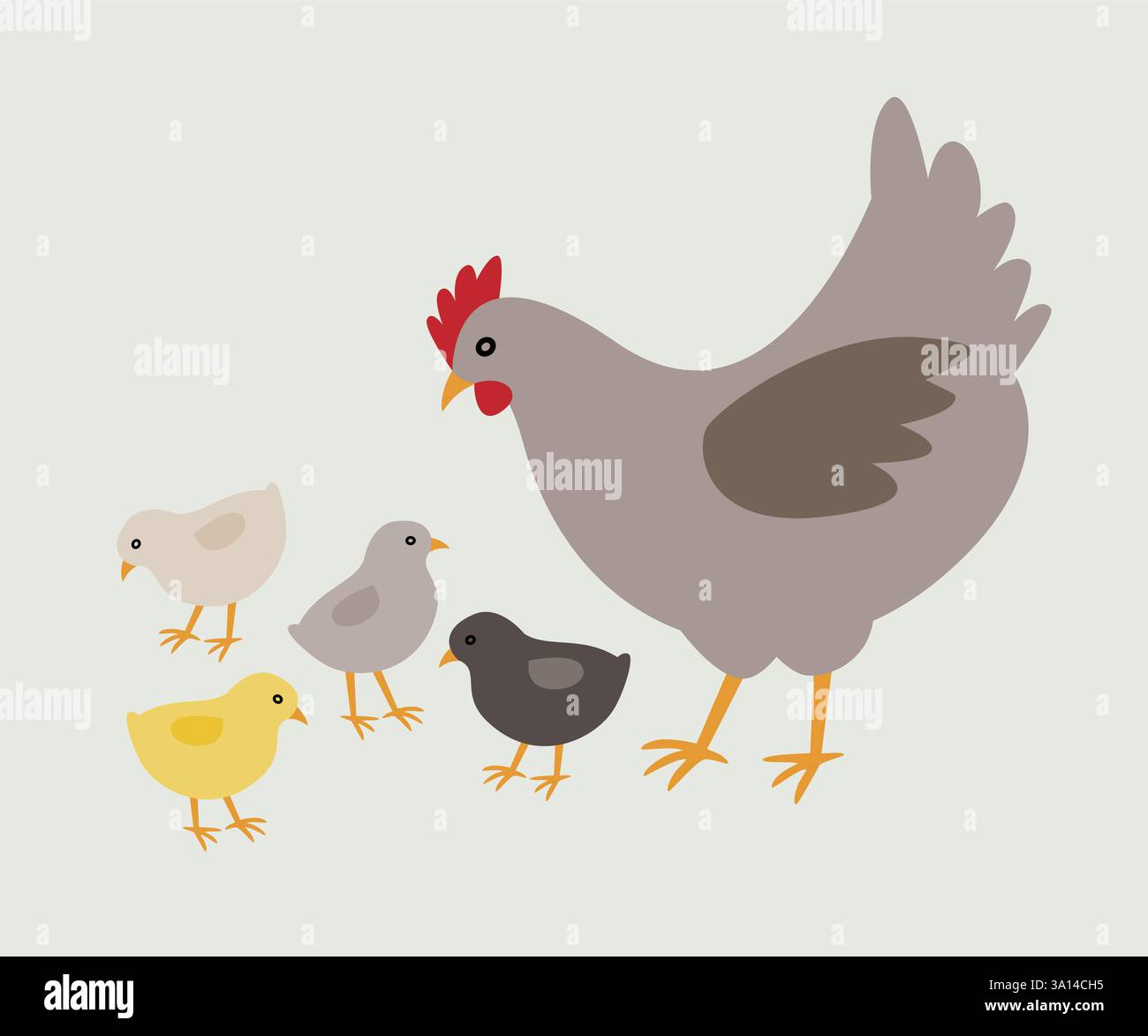 Mother hen with baby chicks Stock Photo - Alamy